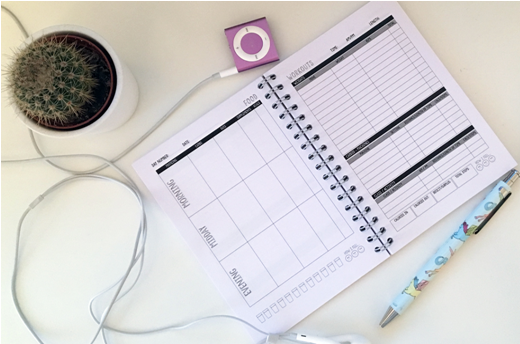 GUEST REVIEW: My Fitness Diary — Stationery Geek